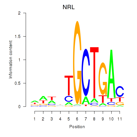 ISMARA results: MAF_NRL