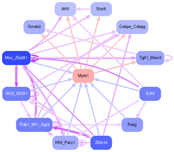 ISMARA results: Mybl1
