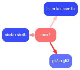 ISMARA results: runx3