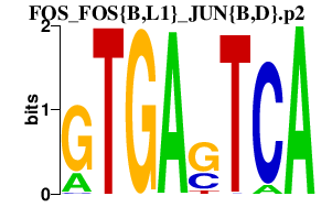 ISMARA results: FOS_FOS{B,L1}_JUN{B,D}.p2