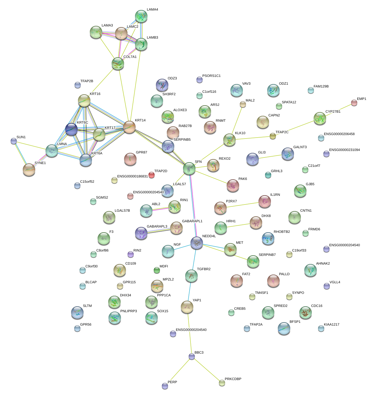 ISMARA results: FOS_FOS{B,L1}_JUN{B,D}.p2